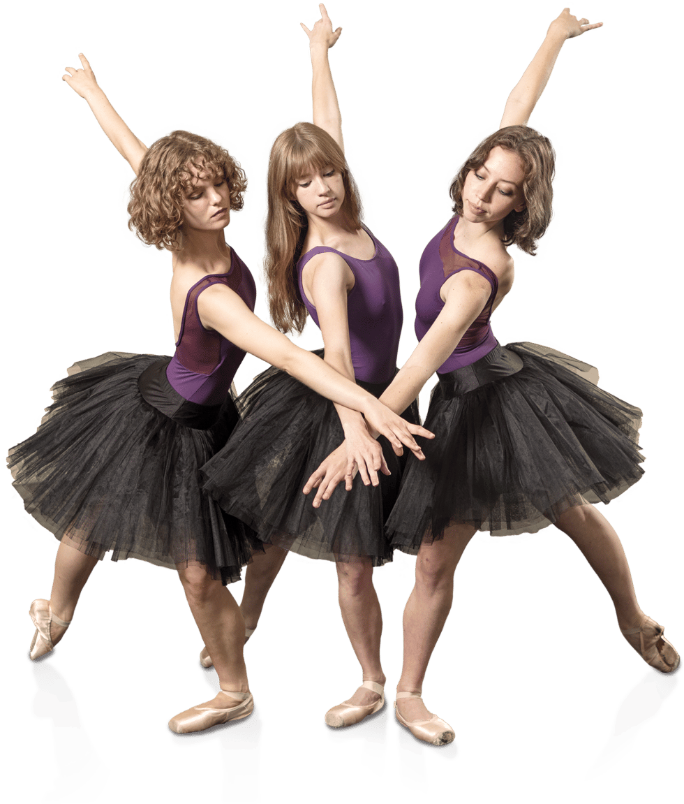 Minnesota Ballet • Premiere Dance Company - Duluth, MN